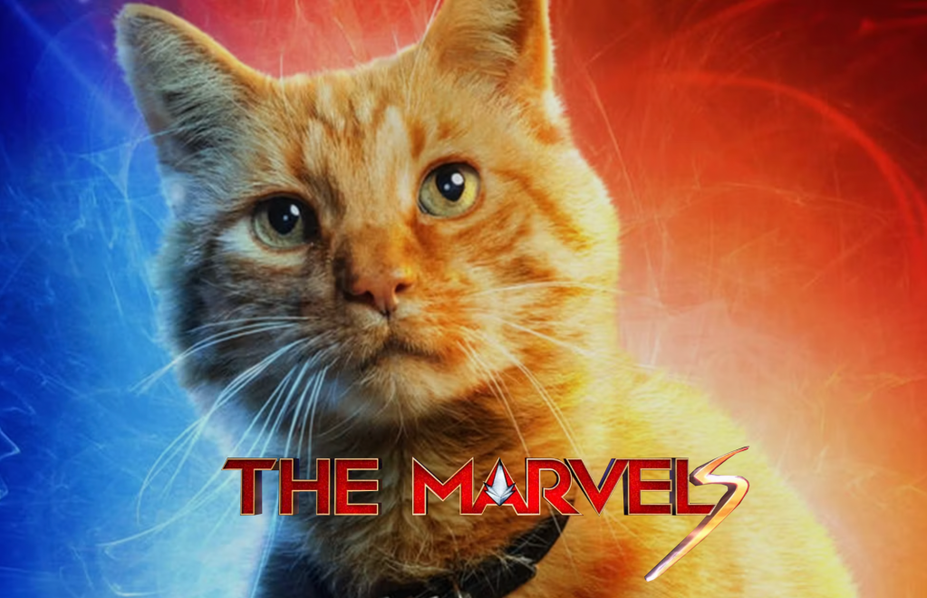 Plot Details For 'The Marvels' Surface, Goose Confirmed To Return ...