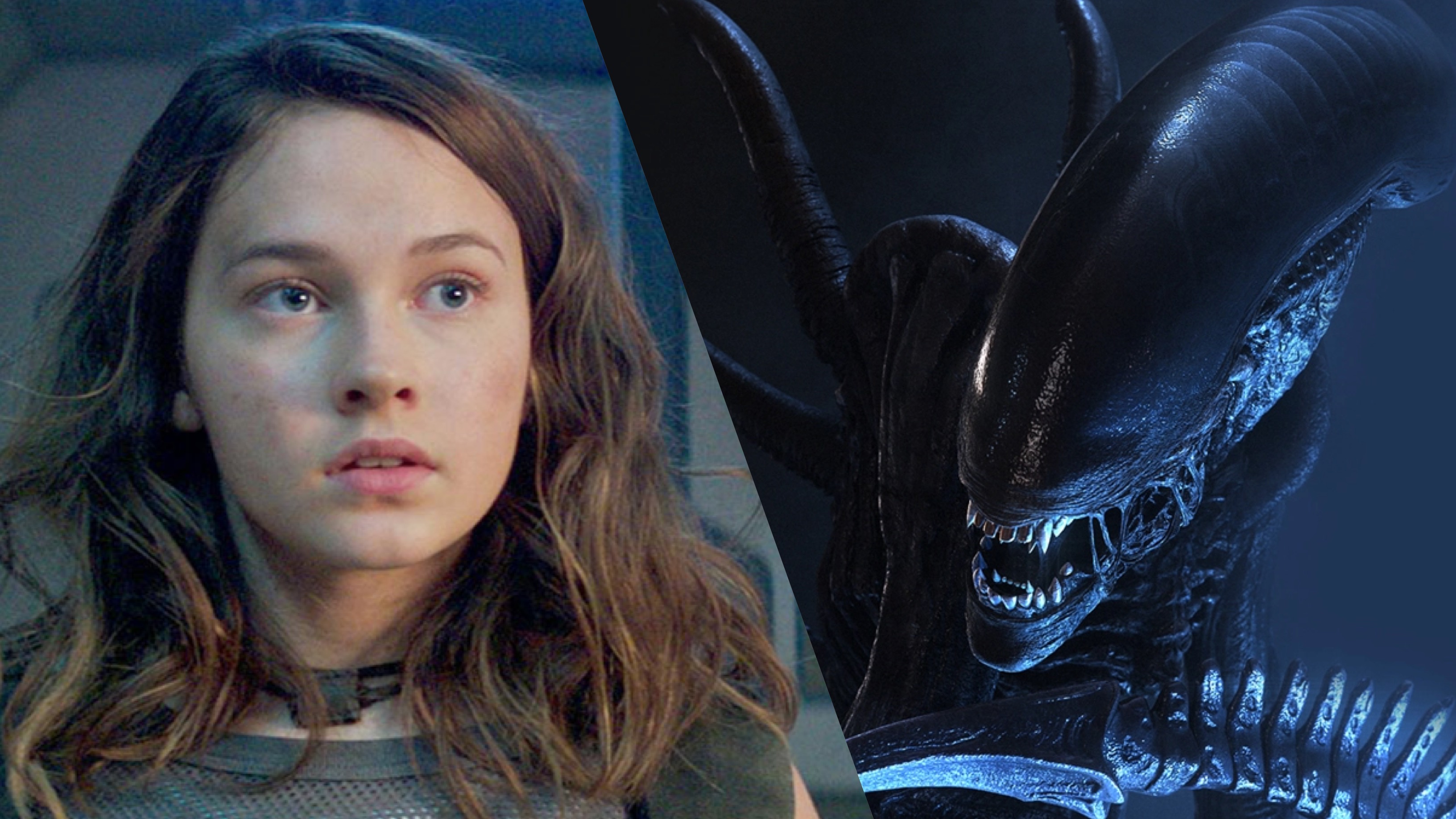 Cailee Spaeny in Talks For 20th Century Studios New 'Alien' Movie ...